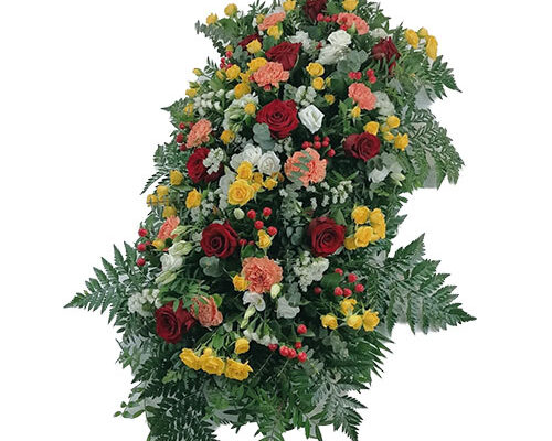 Magasin fleurs et plantes à Jemappes, Mons | Fleuriste Donaliflor